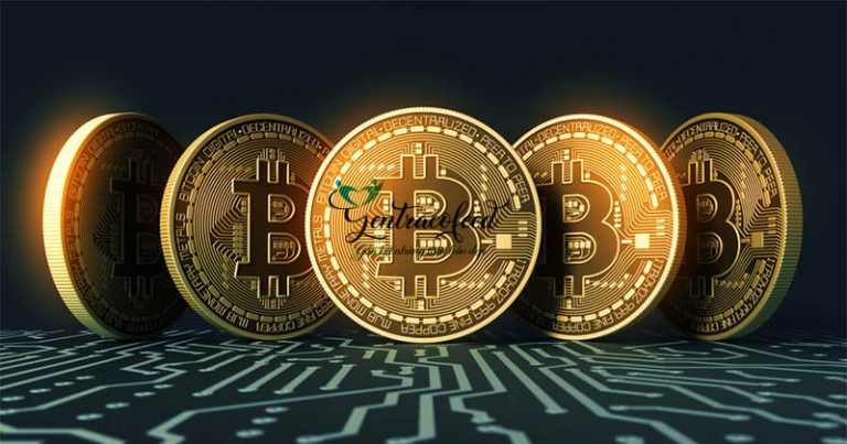 Hệ Sinh Thái Trong Crypto Là Gì? Tổng Hợp Các Hệ Sinh Thái Coin Hiện Nay